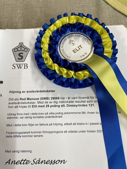 St. Manfred såld och Red Manoue Elit-premierad – Änglunda Gård